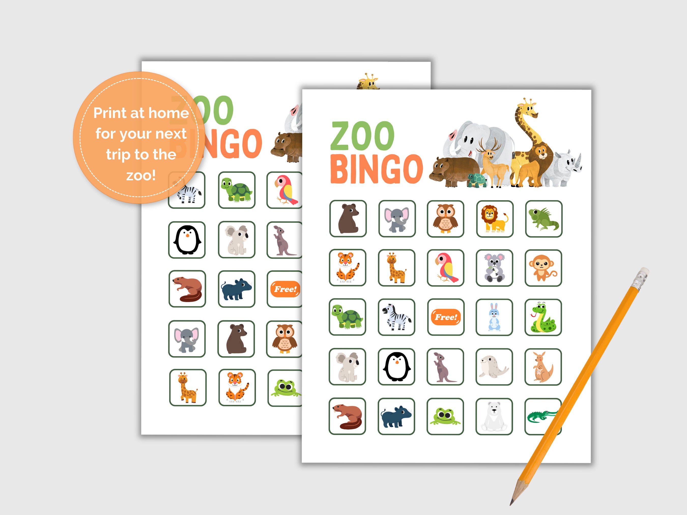 Zoo Bingo Cards, Printable Zoo Bingo Cards, Zoo Bingo, Animal Bingo ...