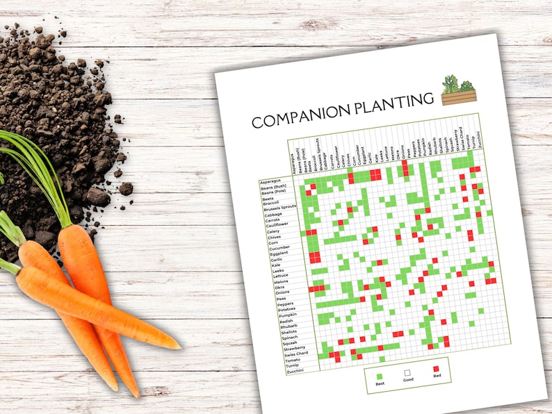 Companion Planting Chart, Companion Planting Guide, Companion Gardening ...