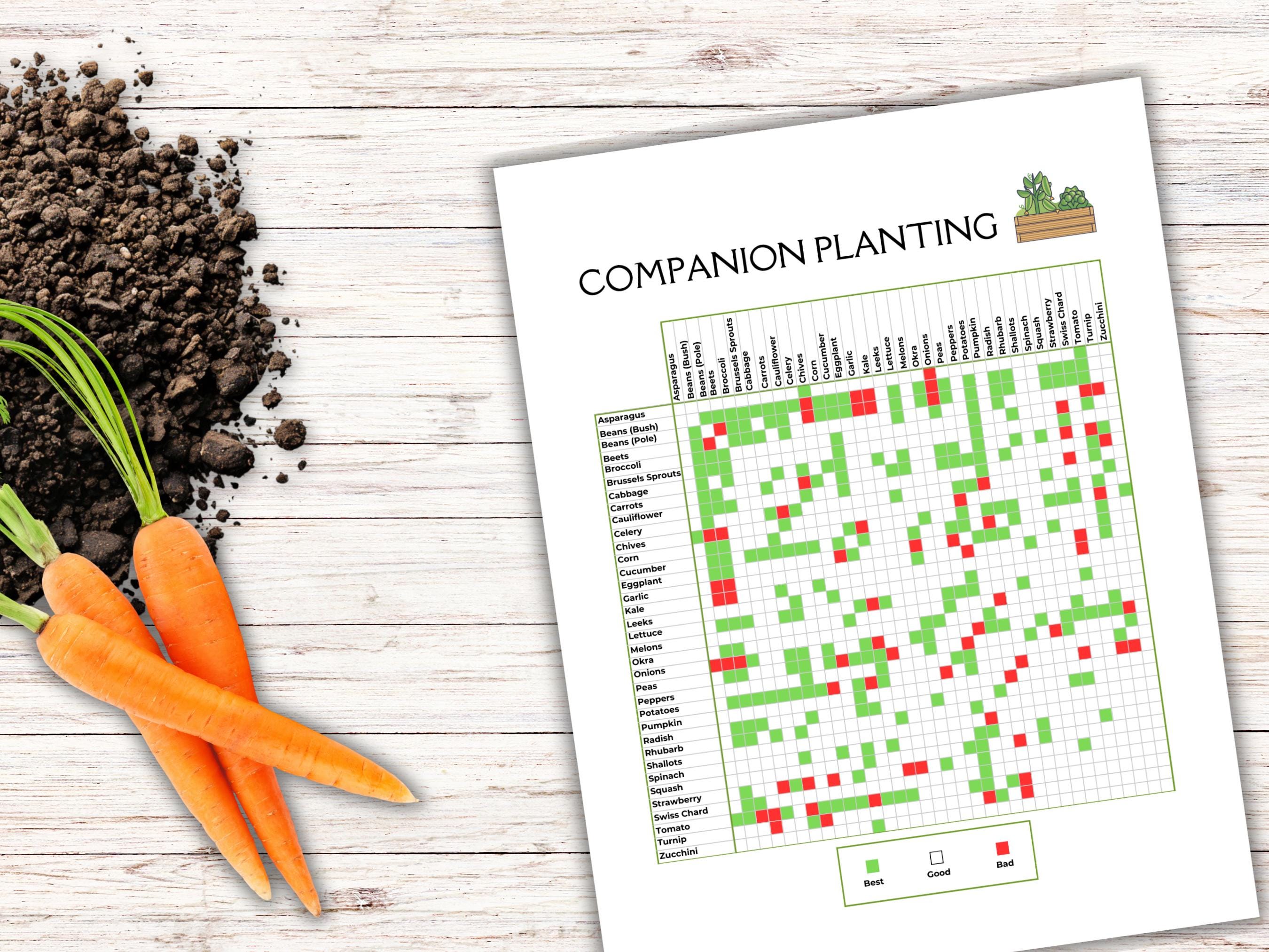 Companion Planting Chart, Companion Planting Guide, Companion Gardening ...
