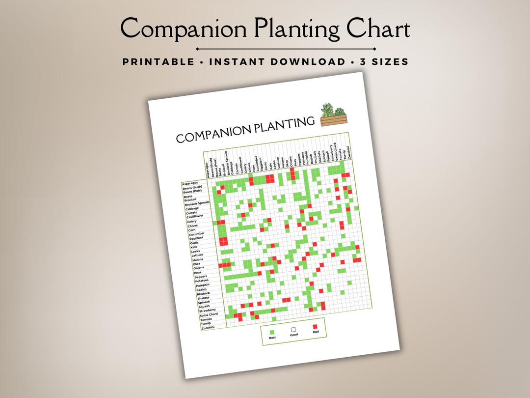 Companion Planting Chart, Companion Planting Guide, Companion Gardening ...