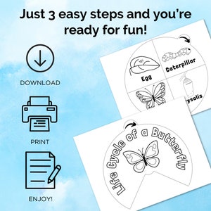 Life Cycle of a Butterfly Spinner Wheel, Spinner Wheel Coloring Craft ...