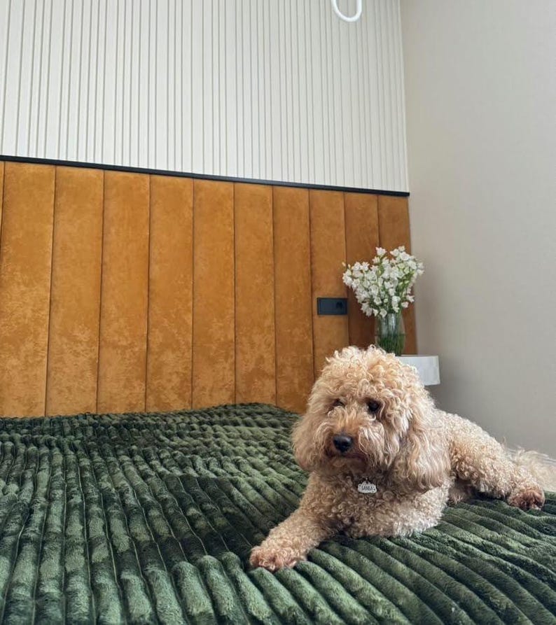 Custom Upholstered Wall Panels – Vertical Slat Style – Velvet Stripes ...