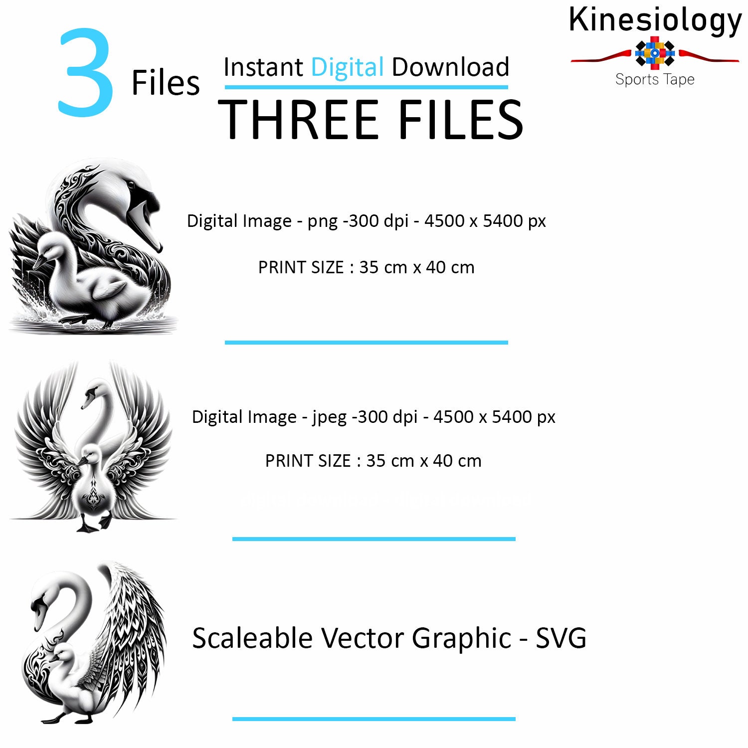 Swan and Cygnet Digital Art PNG, JPEG & SVG Instant Download for ...