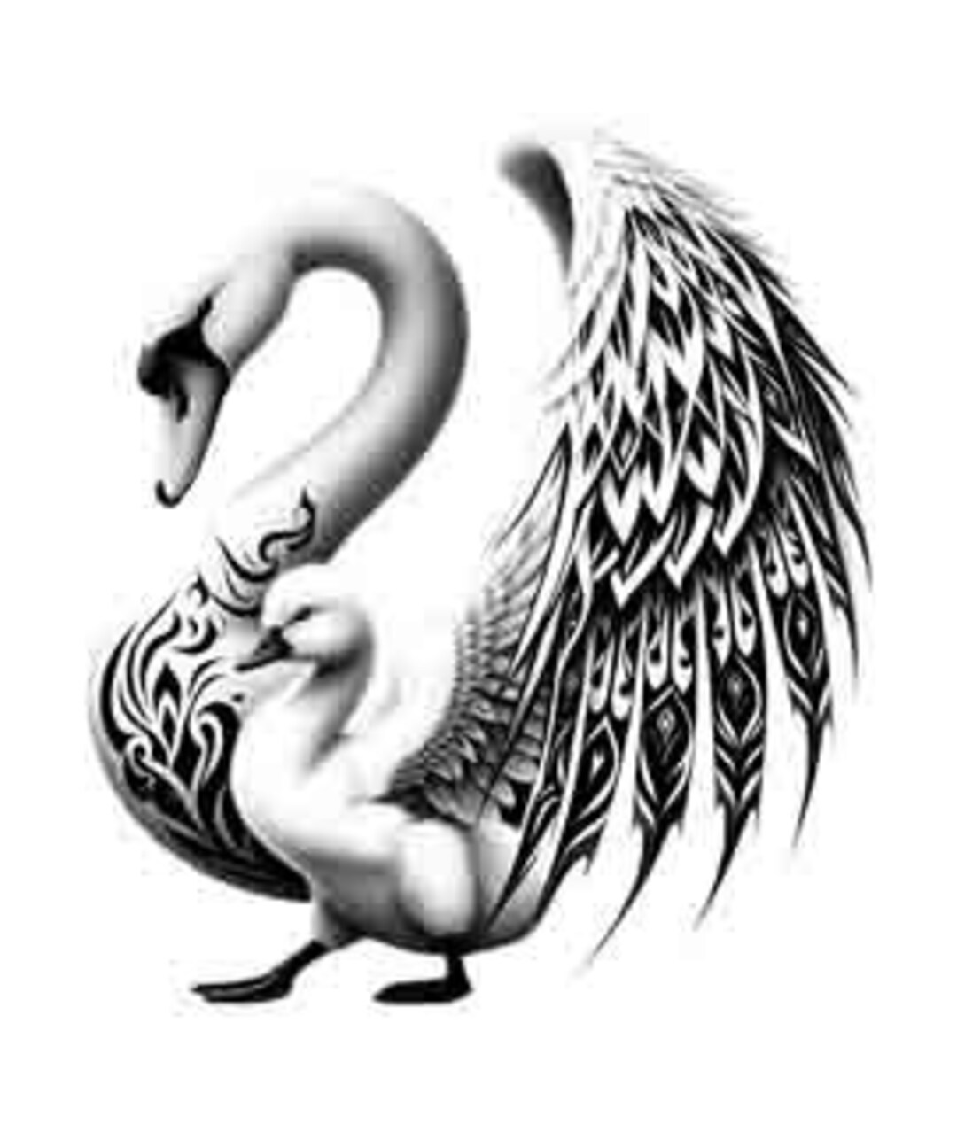 Swan and Cygnet Digital Art PNG, JPEG & SVG Instant Download for ...