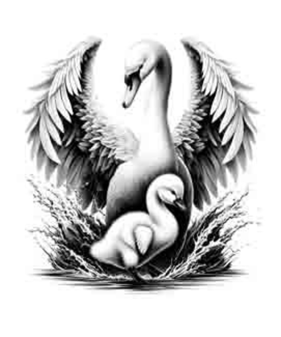 Swan and Cygnet Digital Art PNG, JPEG & SVG Instant Download for ...
