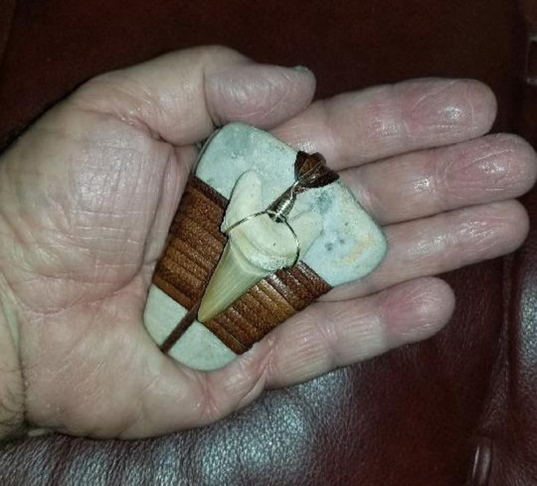 Shark Tooth Stone - Etsy