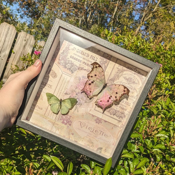 Butterfly Pinned Framed - Etsy