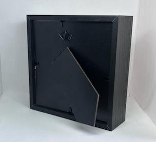 Real Framed Papilio Phorcas Green Swallowtail - Etsy