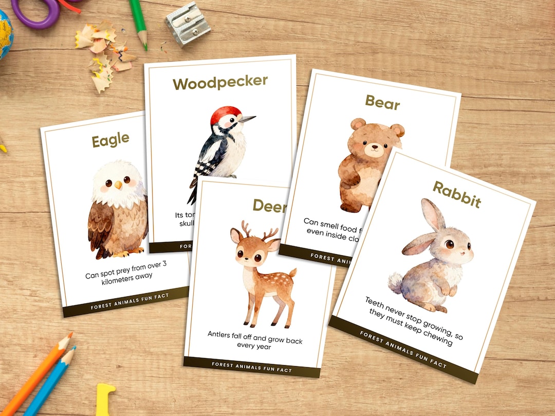 Forest Animals Fun Facts Flashcards for Kids – 22 Animals Watercolor ...