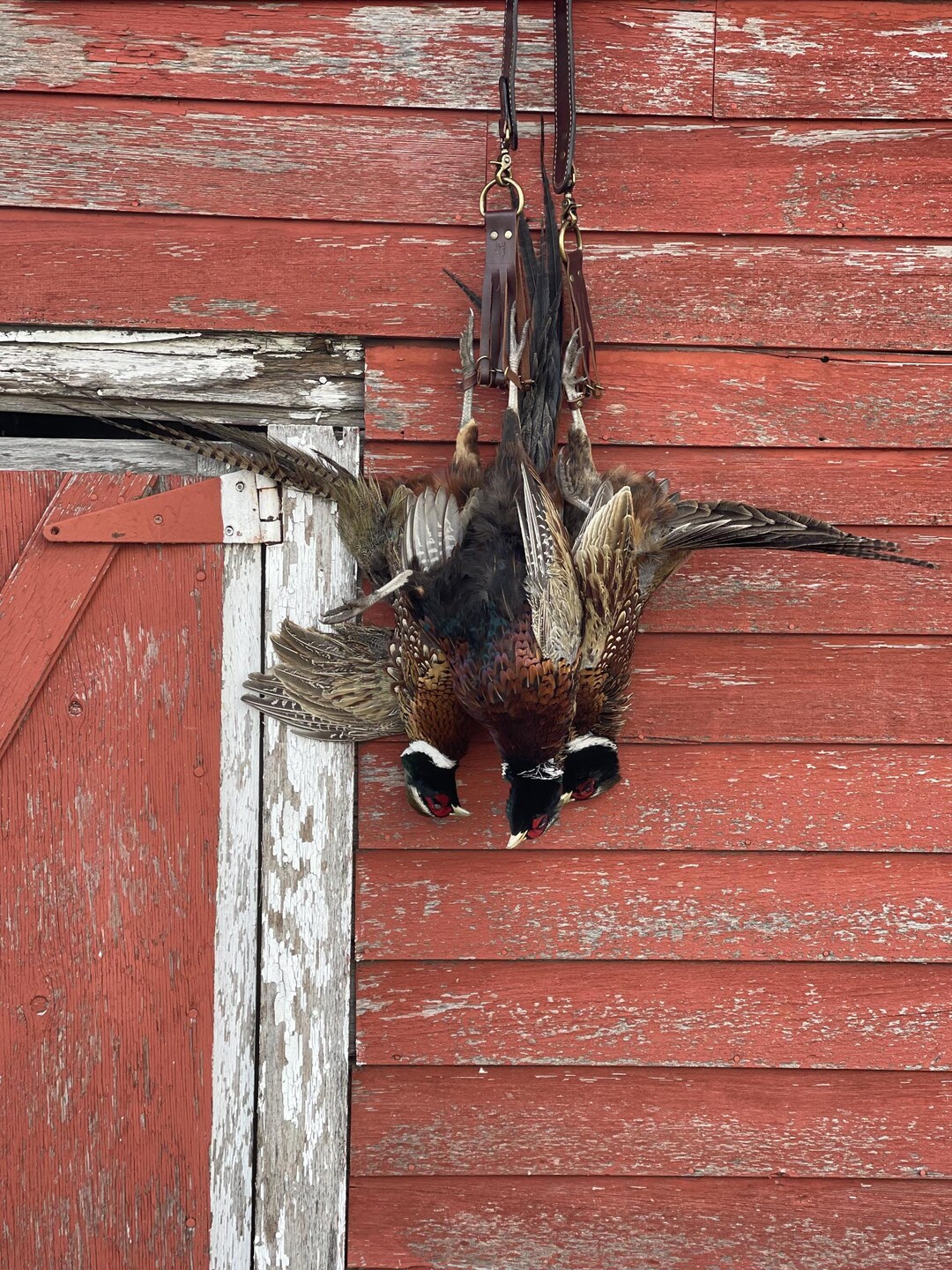 Handmade Leather Dove/pheasant Hunting Game Strap Carrier With Fringe ...