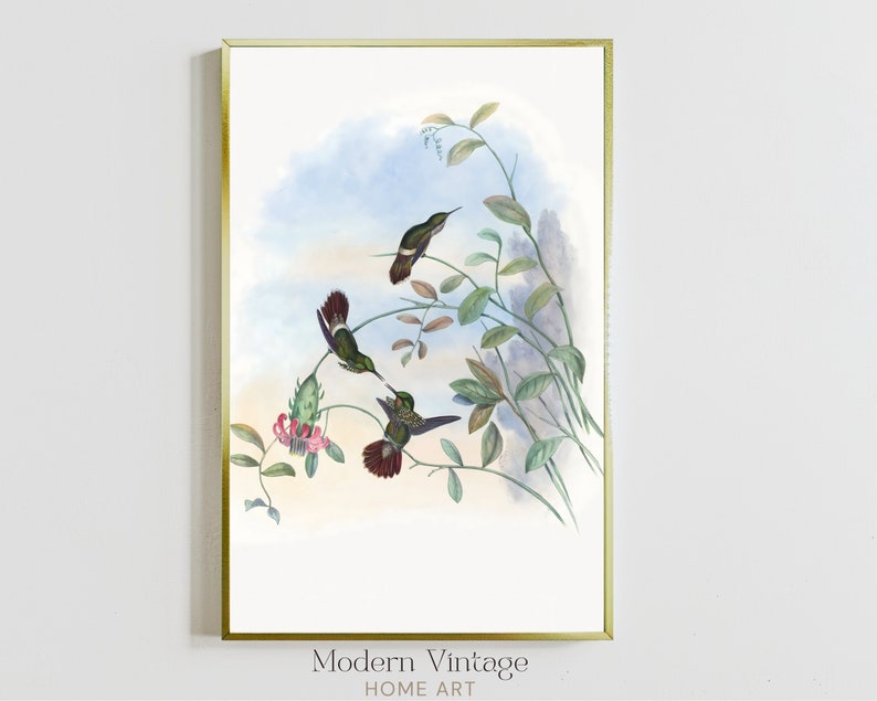 Vintage Hummingbirds Print Digital Watercolor Painting Festive Coquette ...