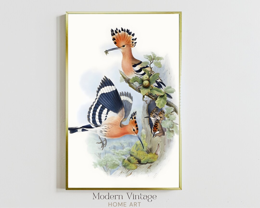 Vintage Pink Blue Bird Print Naturalist Watercolor Art Wild Bird ...