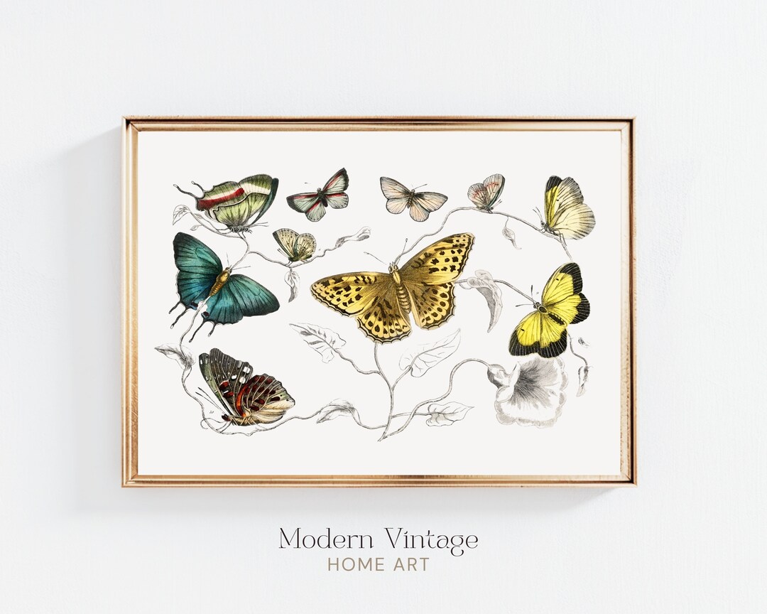 Vintage Blue Yellow Butterflies Print Butterfly Cottagecore Digital ...