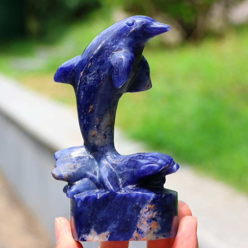Dolphin Stone - Etsy