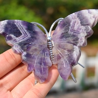 Crenis Pechueli RECTO Pink Purple Butterfly Africa - Etsy
