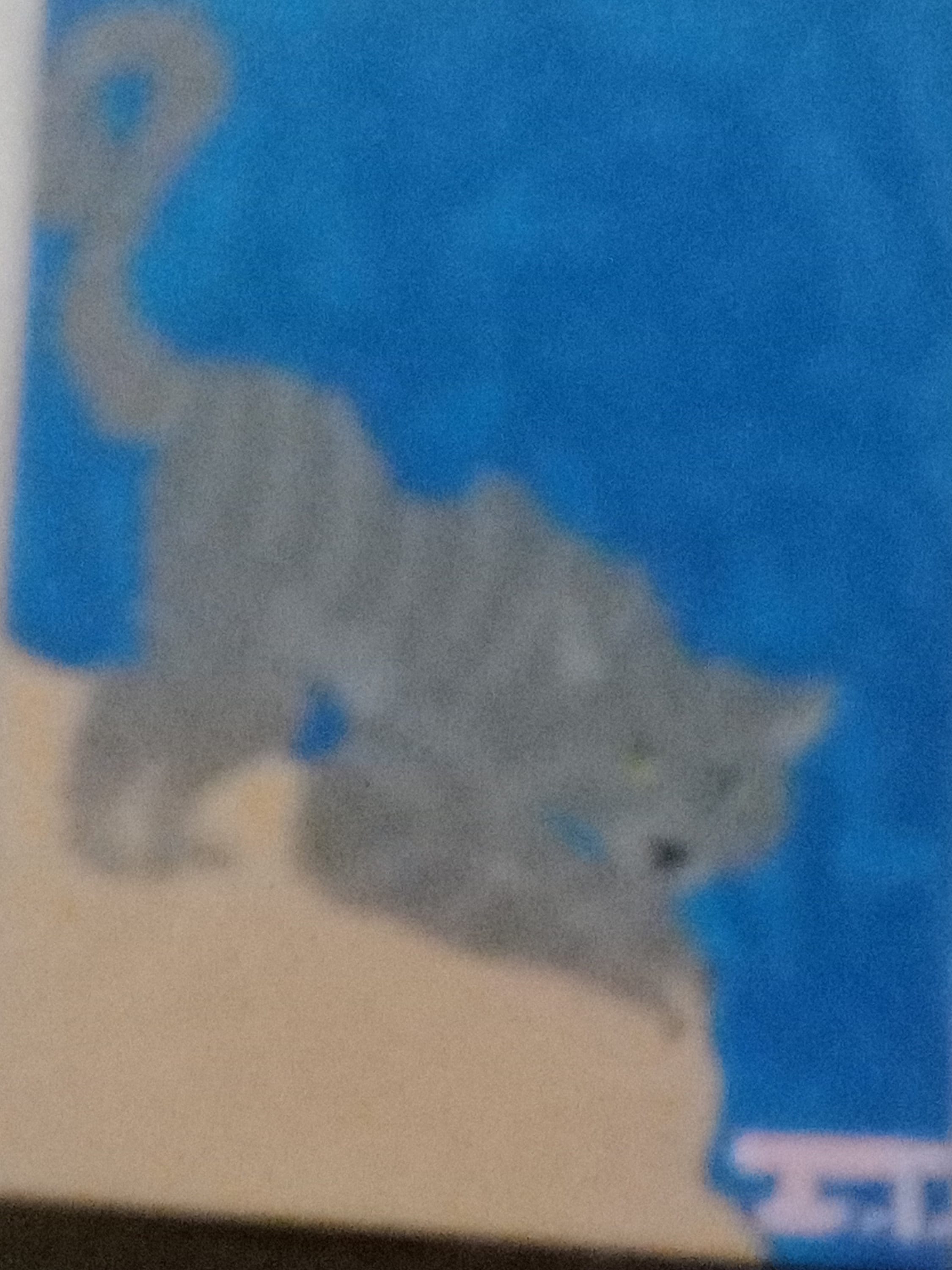 Original Cryptid Cat Paintings - Etsy