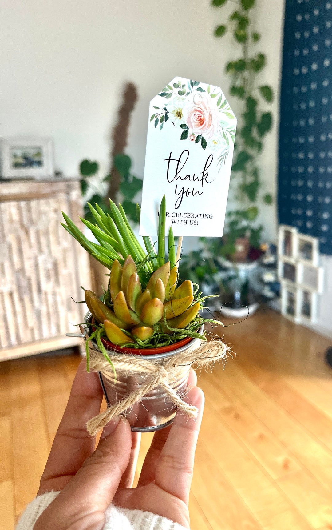 20 Mini Metal Bucket Party Favors With Live Succulents, ASSEMBLE ...
