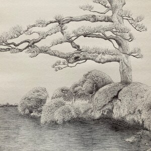 Bonsai Tree and Lake, Ink Sketch, Original Drawing, - Etsy