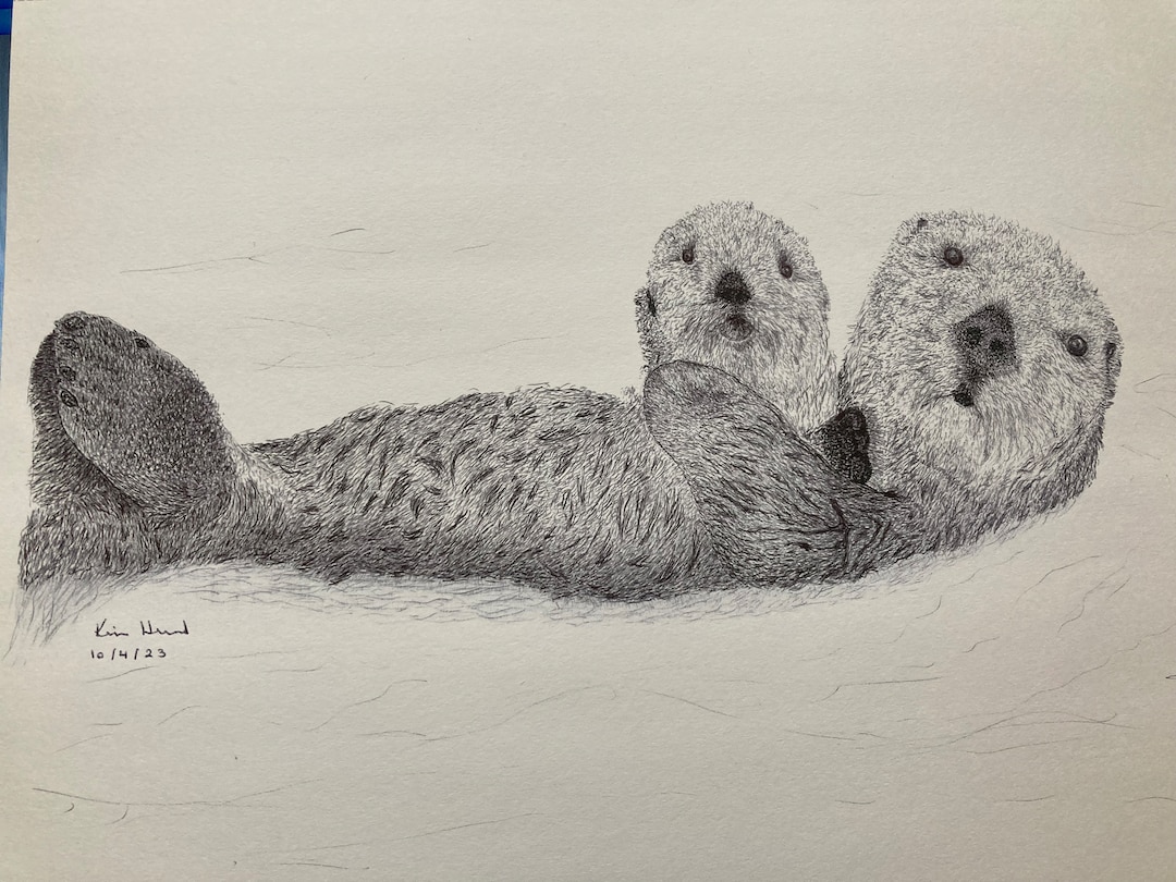 Sea Otter, Ink Sketch, Original Drawing - Etsy