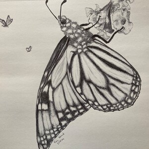Butterfly, Ink Sketch, Original Drawing - Etsy