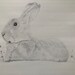 Rabbit, Ink Drawing, Original Drawing - Etsy