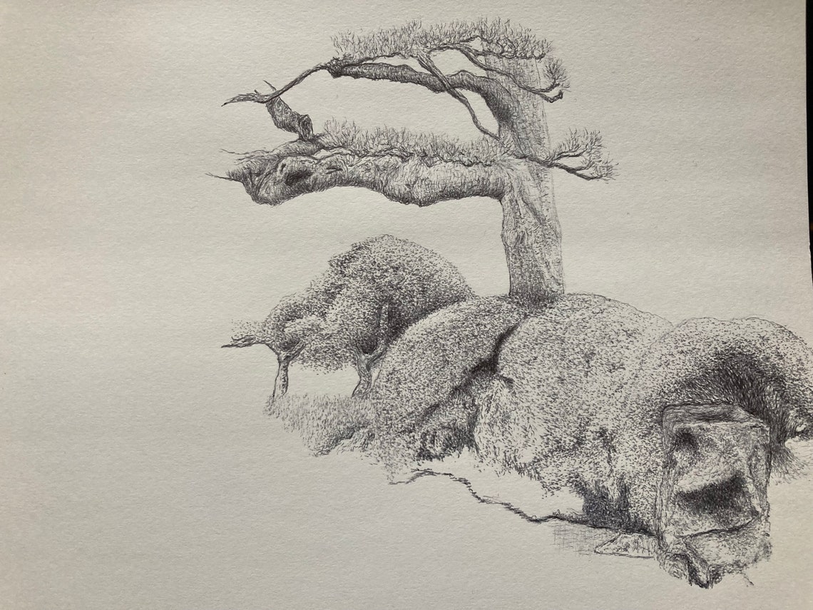 Bonsai Tree and Lake, Ink Sketch, Original Drawing, - Etsy