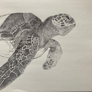 Sea Turtle, Ink Sketch, Original Drawing - Etsy