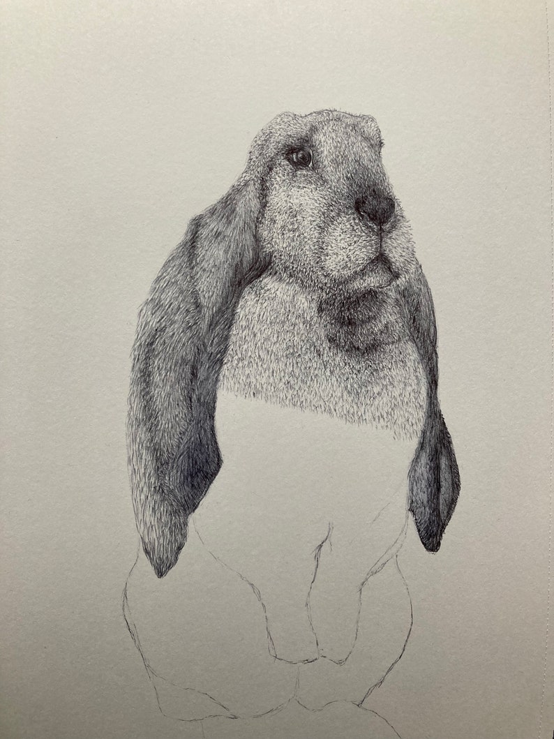 Rabbit, Ink Sketch, Original Drawing - Etsy
