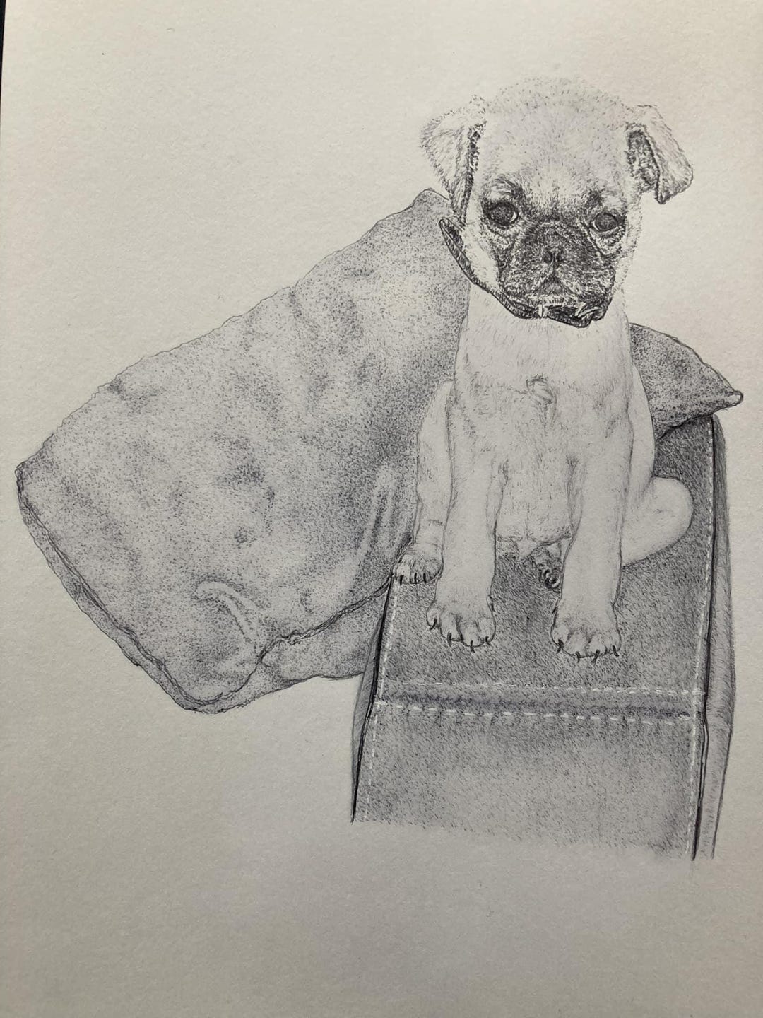Pug, Ink Sketch, Original Drawing - Etsy