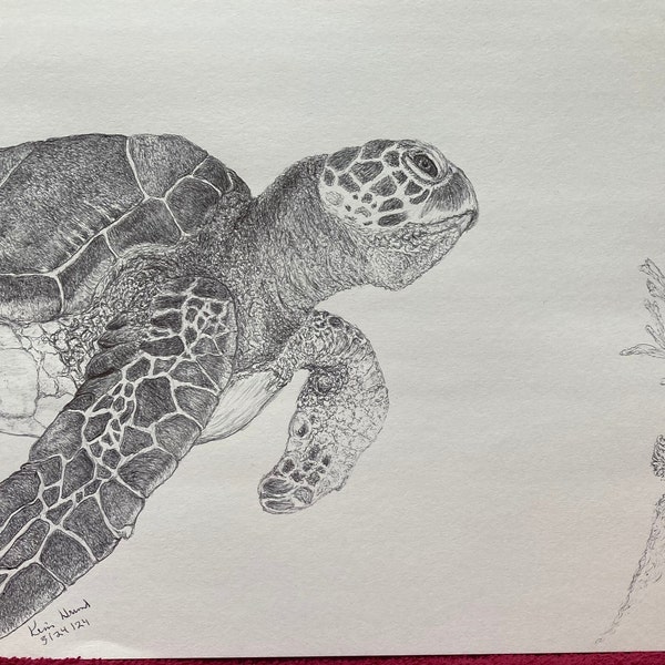 Turtle Drawing - Etsy