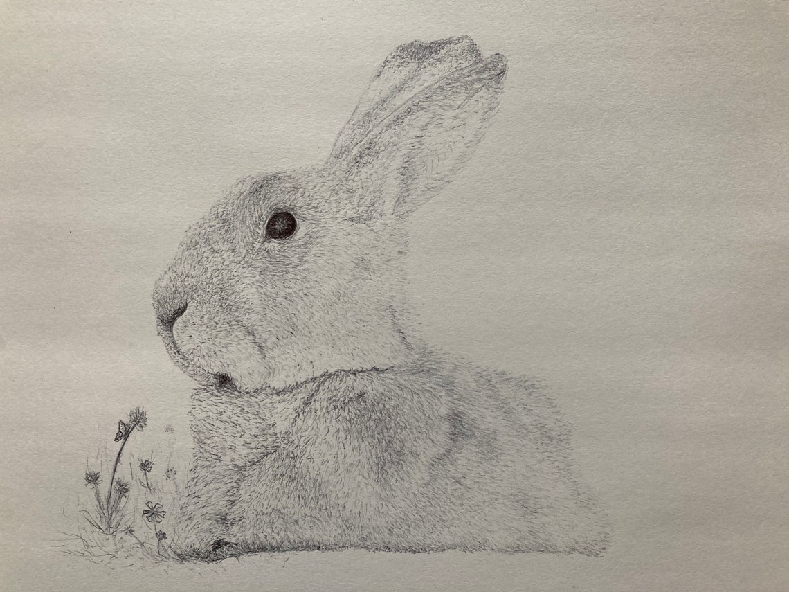 Rabbit, Ink Drawing, Original Drawing - Etsy