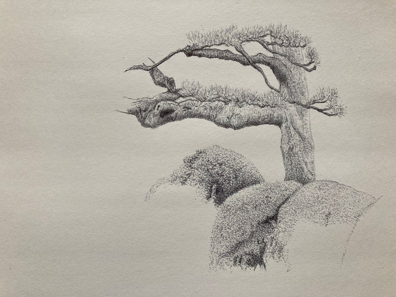 Bonsai Tree and Lake, Ink Sketch, Original Drawing, - Etsy