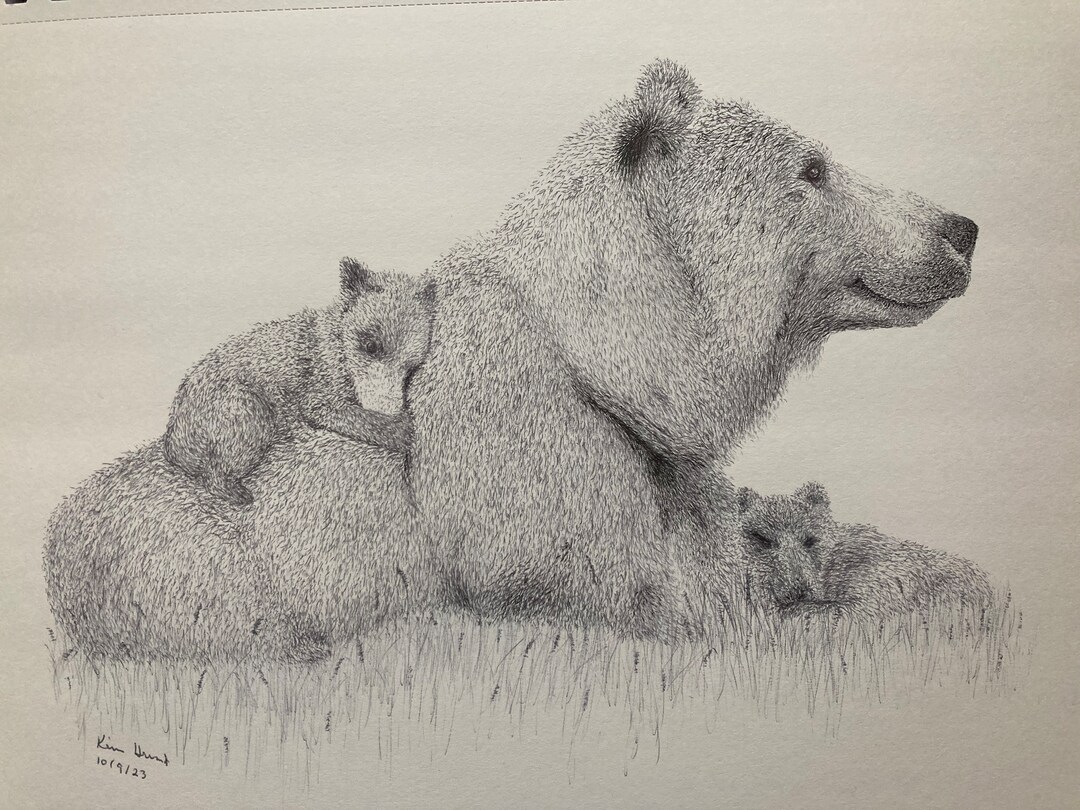 Bear With Cubs, Ink Sketch, Original Drawing - Etsy