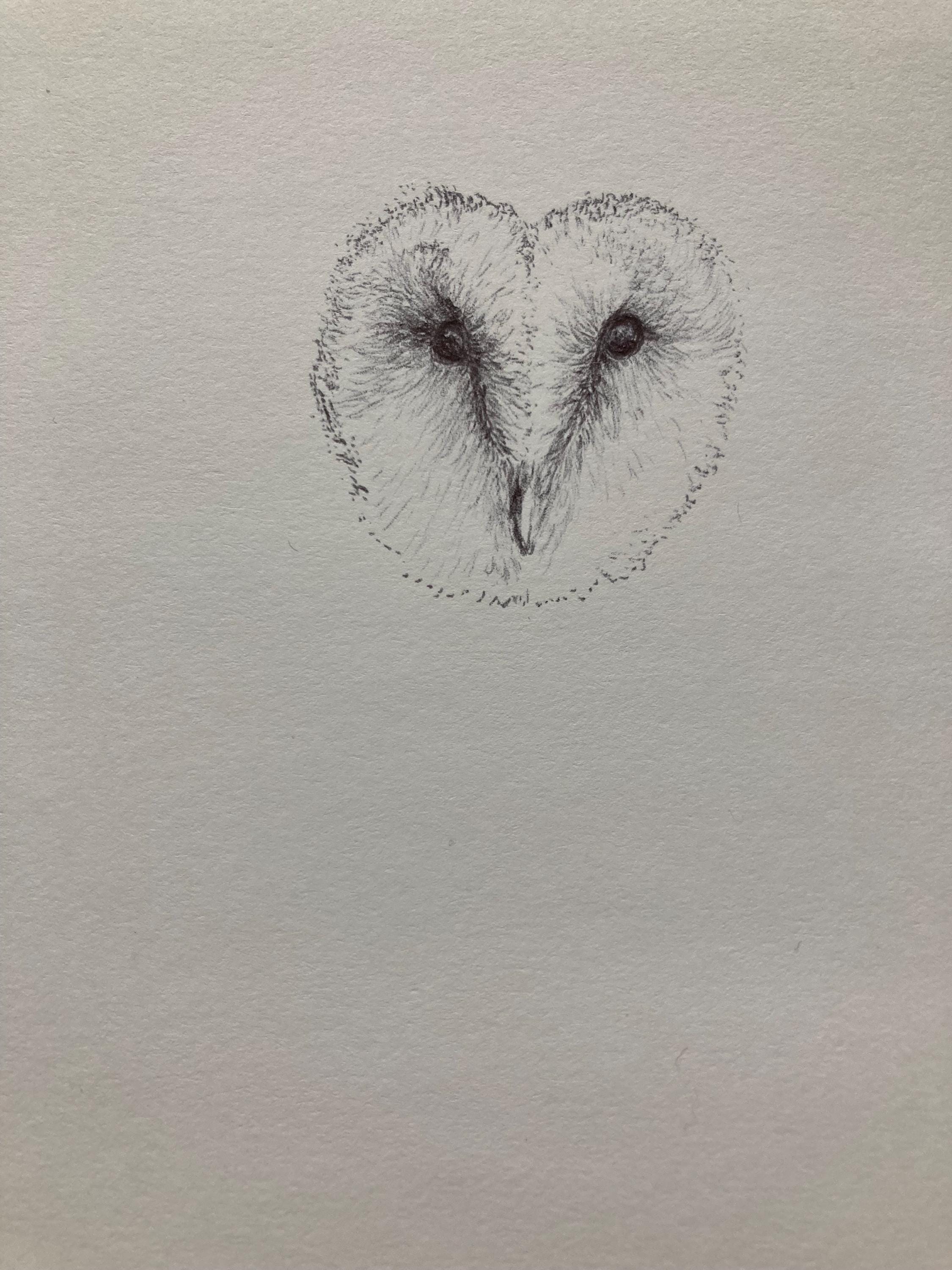 Barn Owl, Ink Sketch, Original Drawing - Etsy