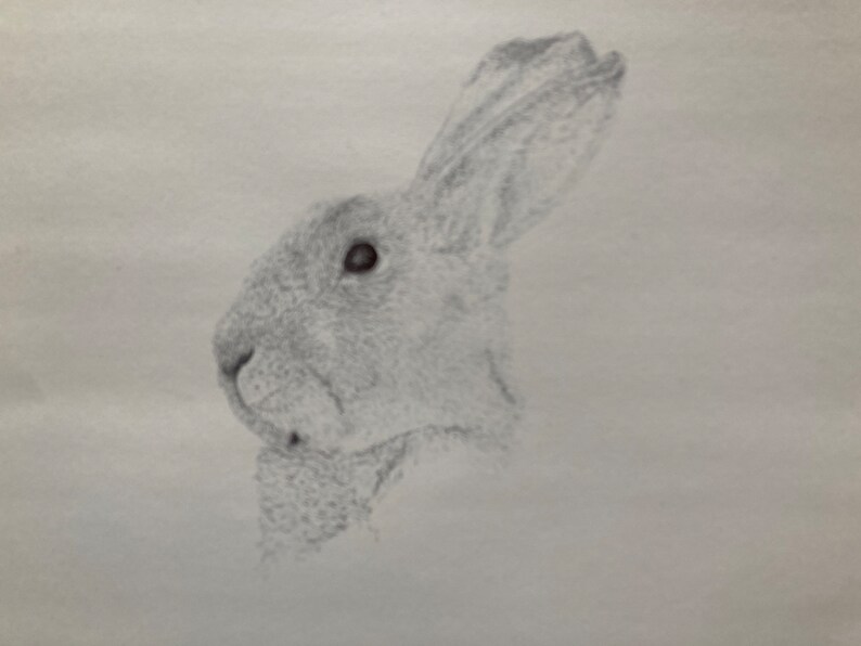 Rabbit, Ink Drawing, Original Drawing - Etsy