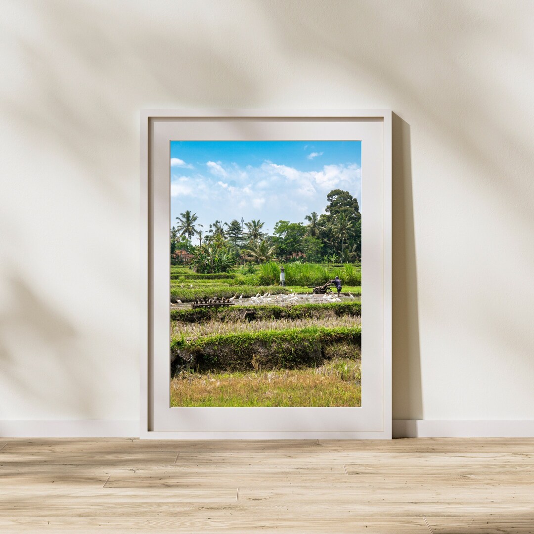 Bali Landscape Digital Art | Wall Print | Interior Wall Photography ...