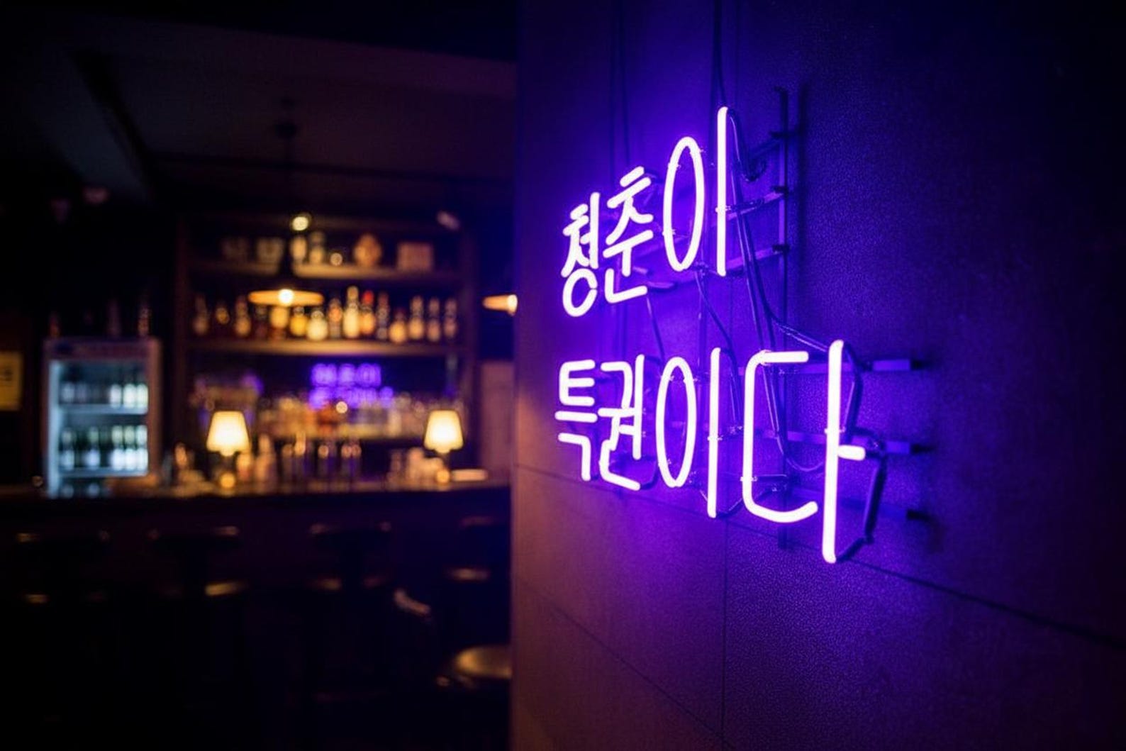 Custom Korean Neon Sign, Korean LED Light, Hangeul Wall Decor, Hangul ...