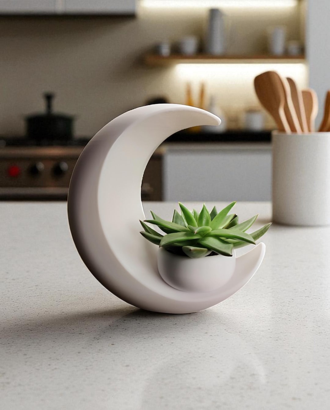 Crescent Moon Succulent Planter | Moon Shaped Plant Pot | Celestial ...