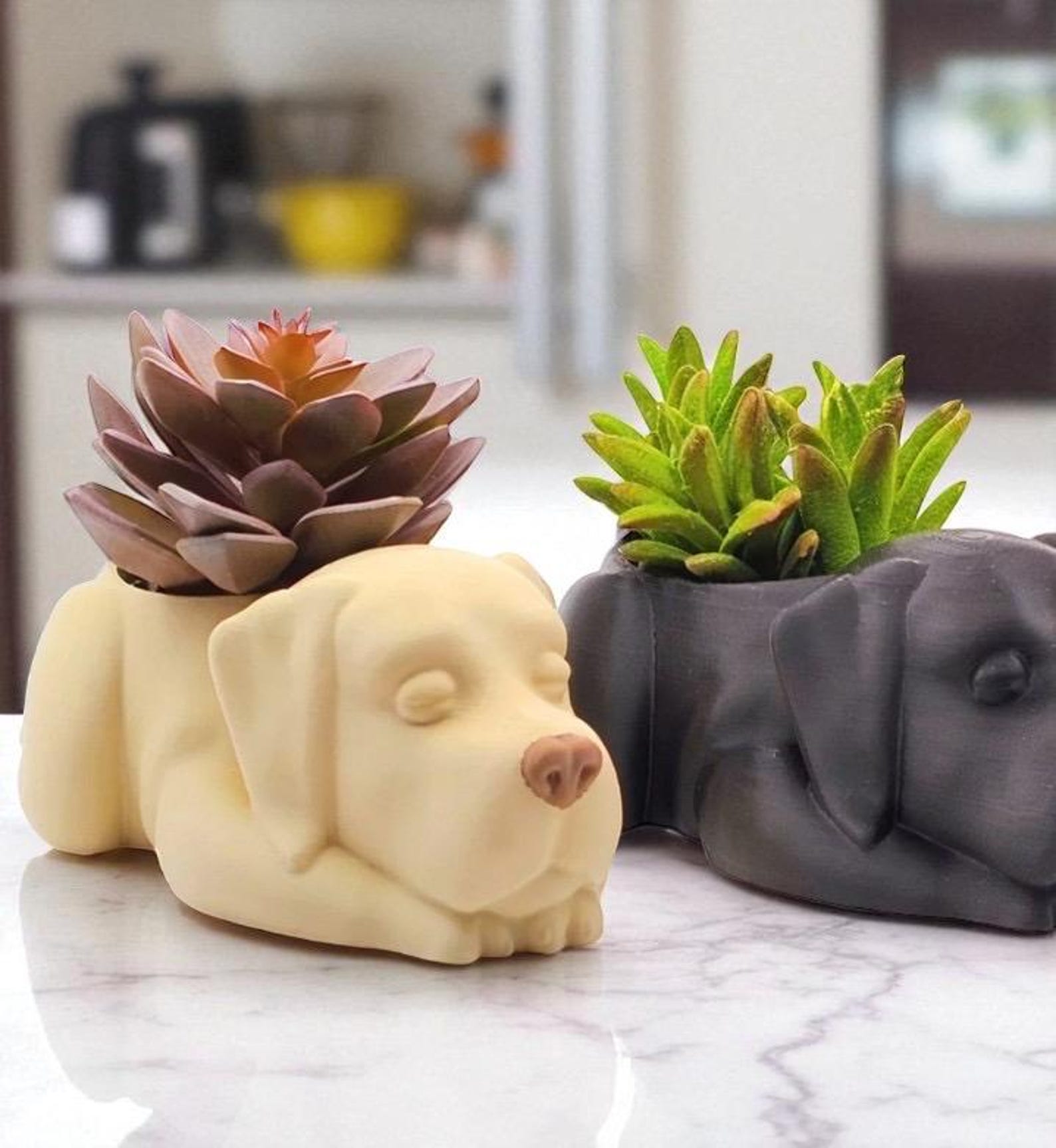Labrador Succulent Pot: Black & Chocolate Lab Dog Planter - Etsy