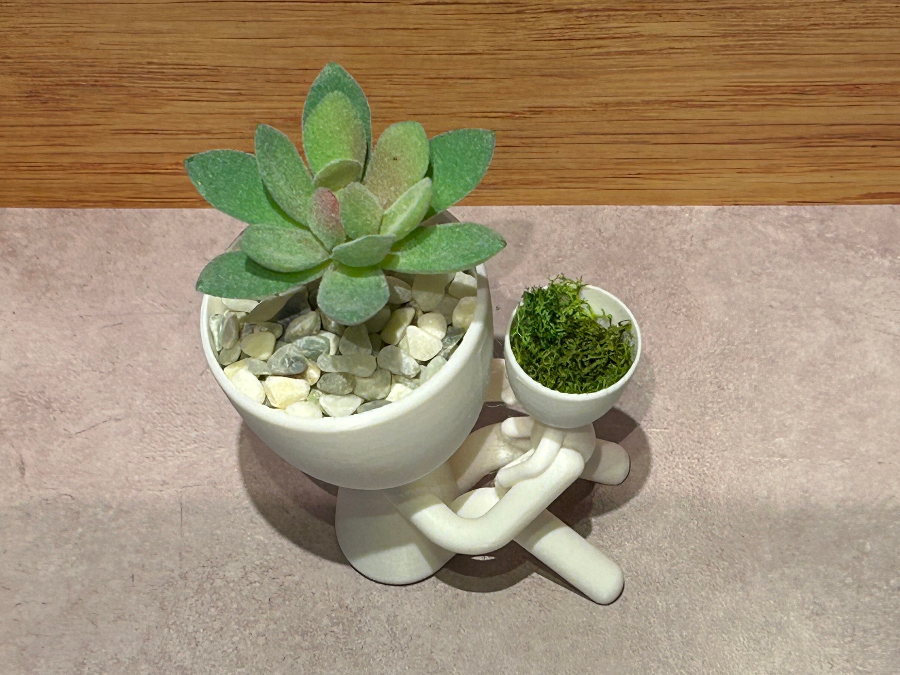 Adorable Plant Family: Parent Succulent Holder With Baby Planter - Etsy