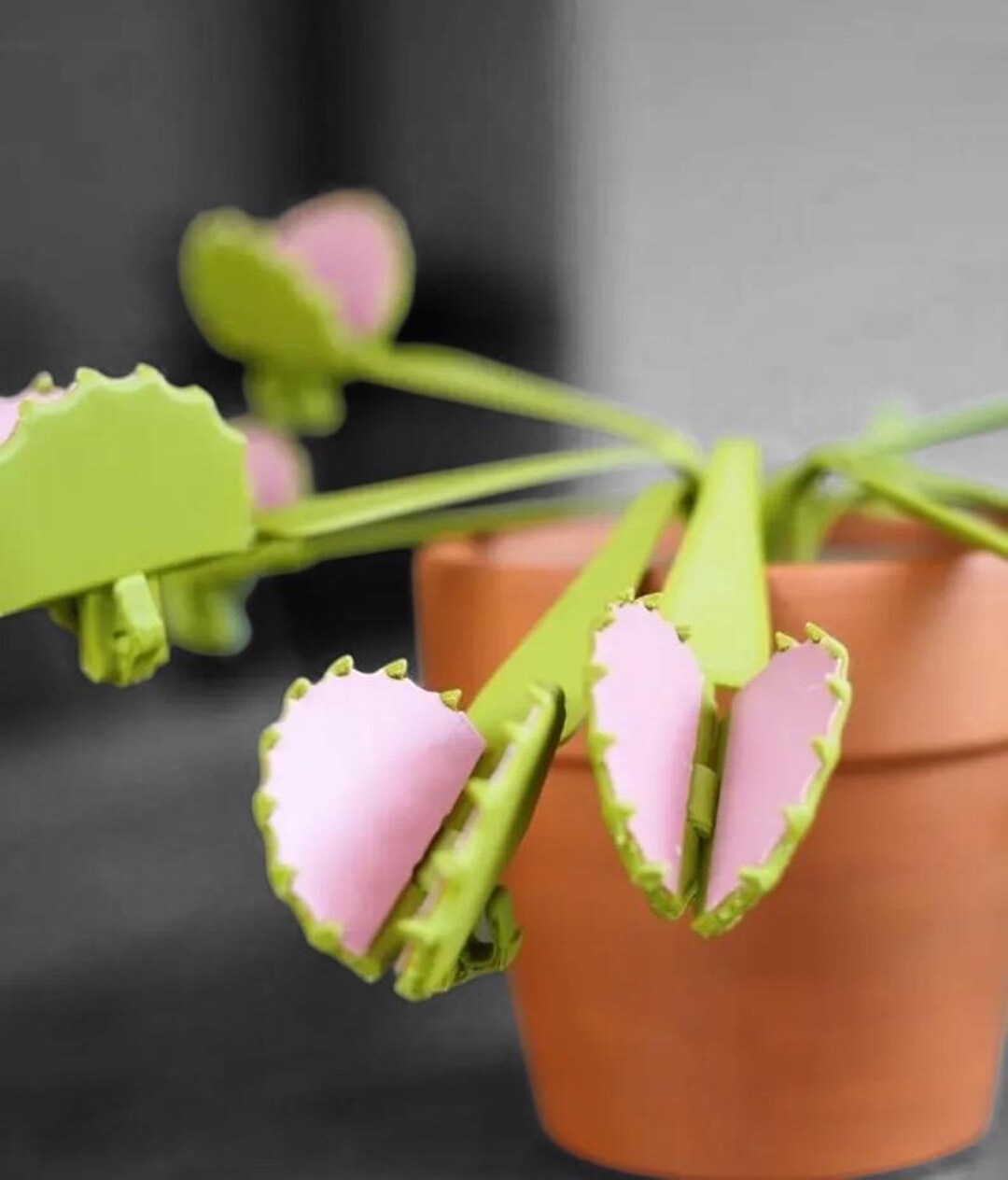 Venus Flytrap Snack Clips | Plant Design Snack Clips, Nature Inspired ...
