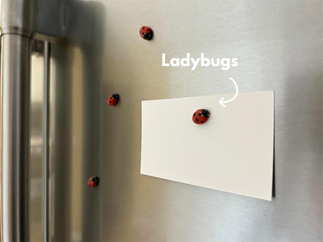 Ladybug Fridge Magnets | Cute Bug Refrigerator Decor | Insect Kitchen ...