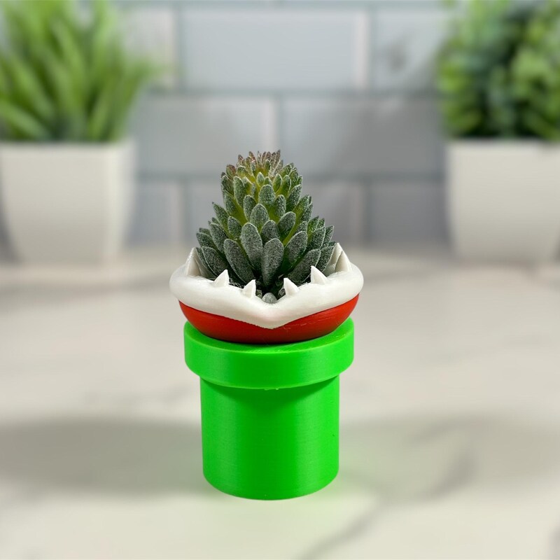 Succulent Pots - Etsy