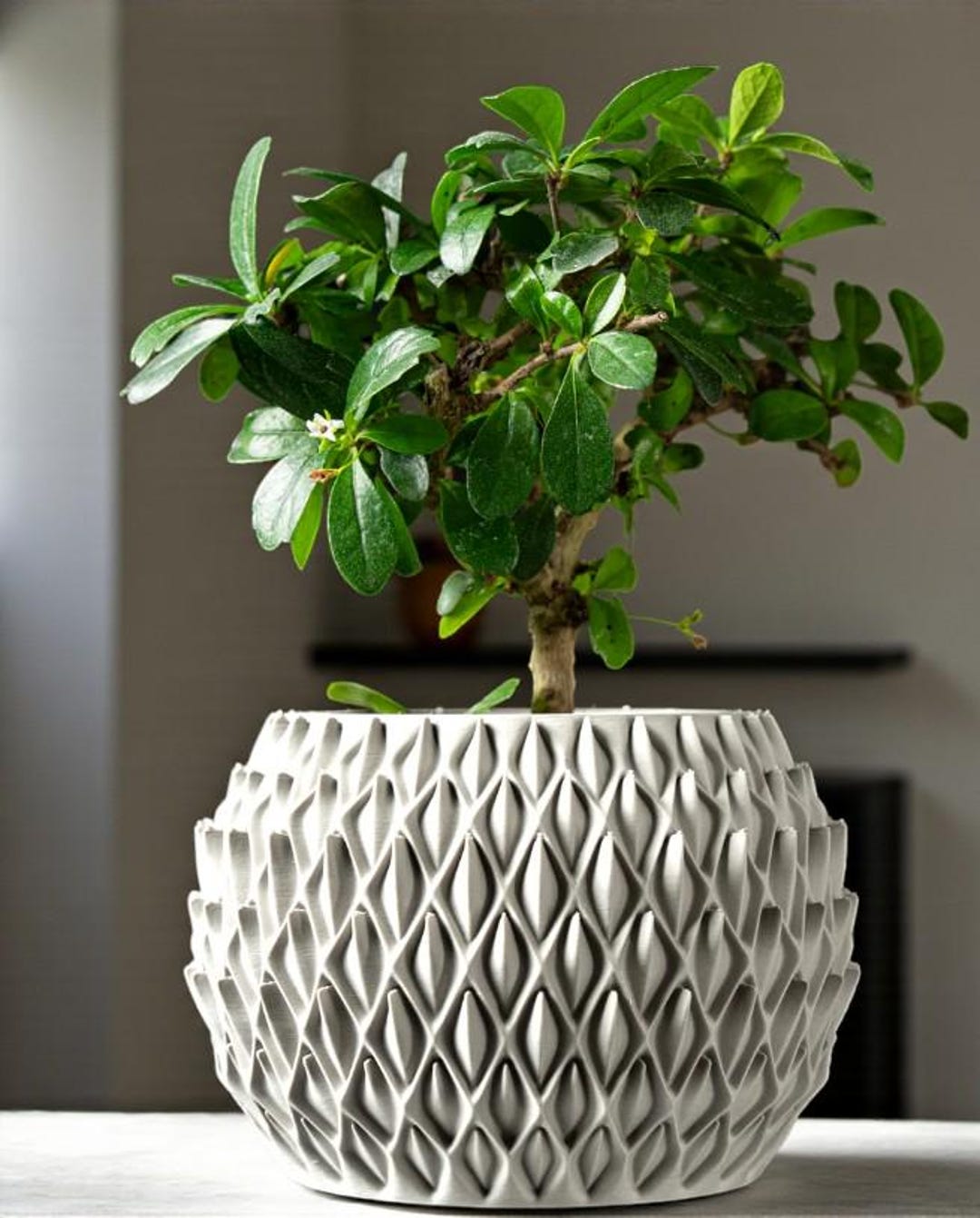 Luxus Blumentopf Mit Innentopf Ebenbild