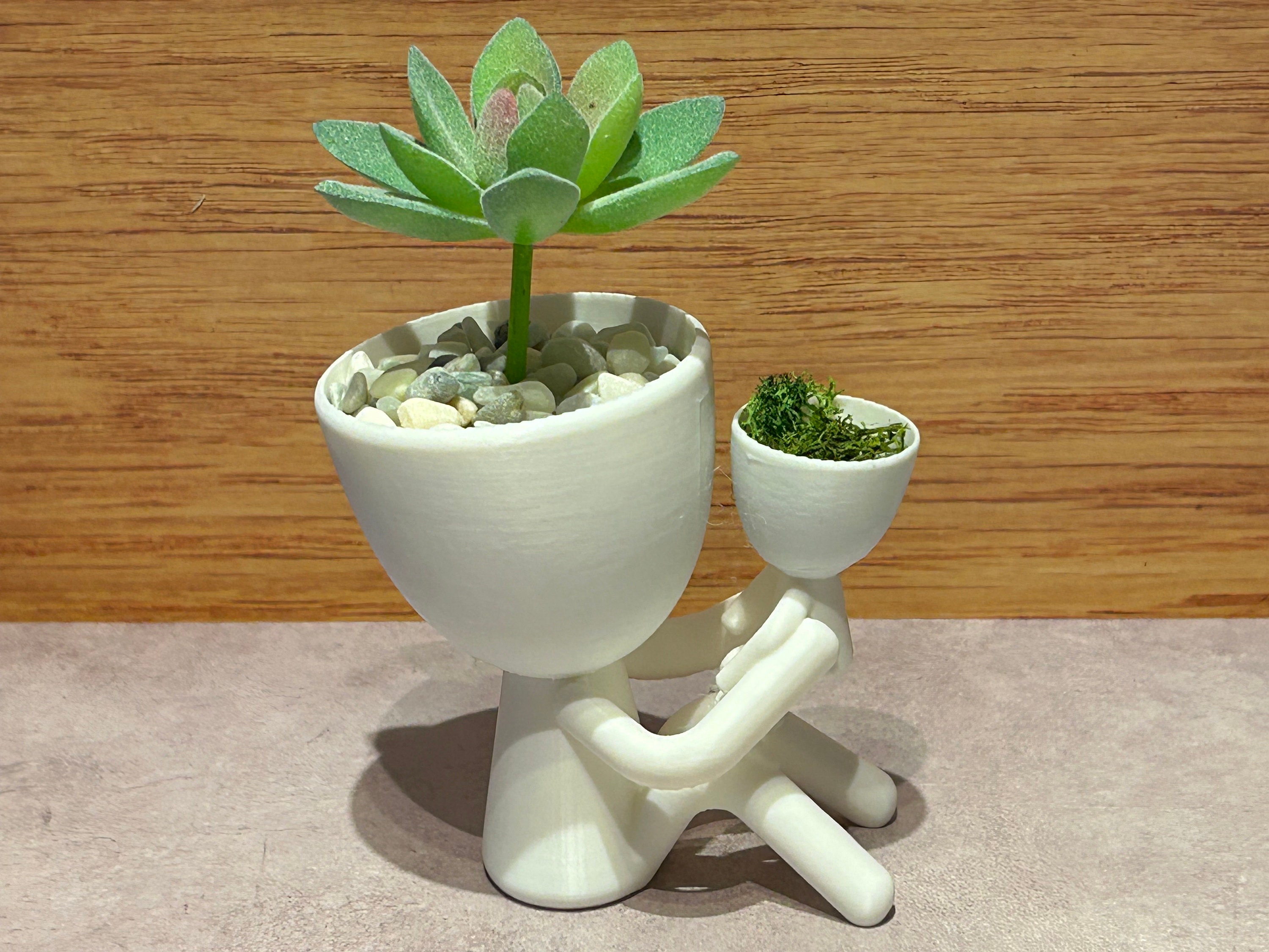 Adorable Plant Family: Parent Succulent Holder With Baby Planter - Etsy