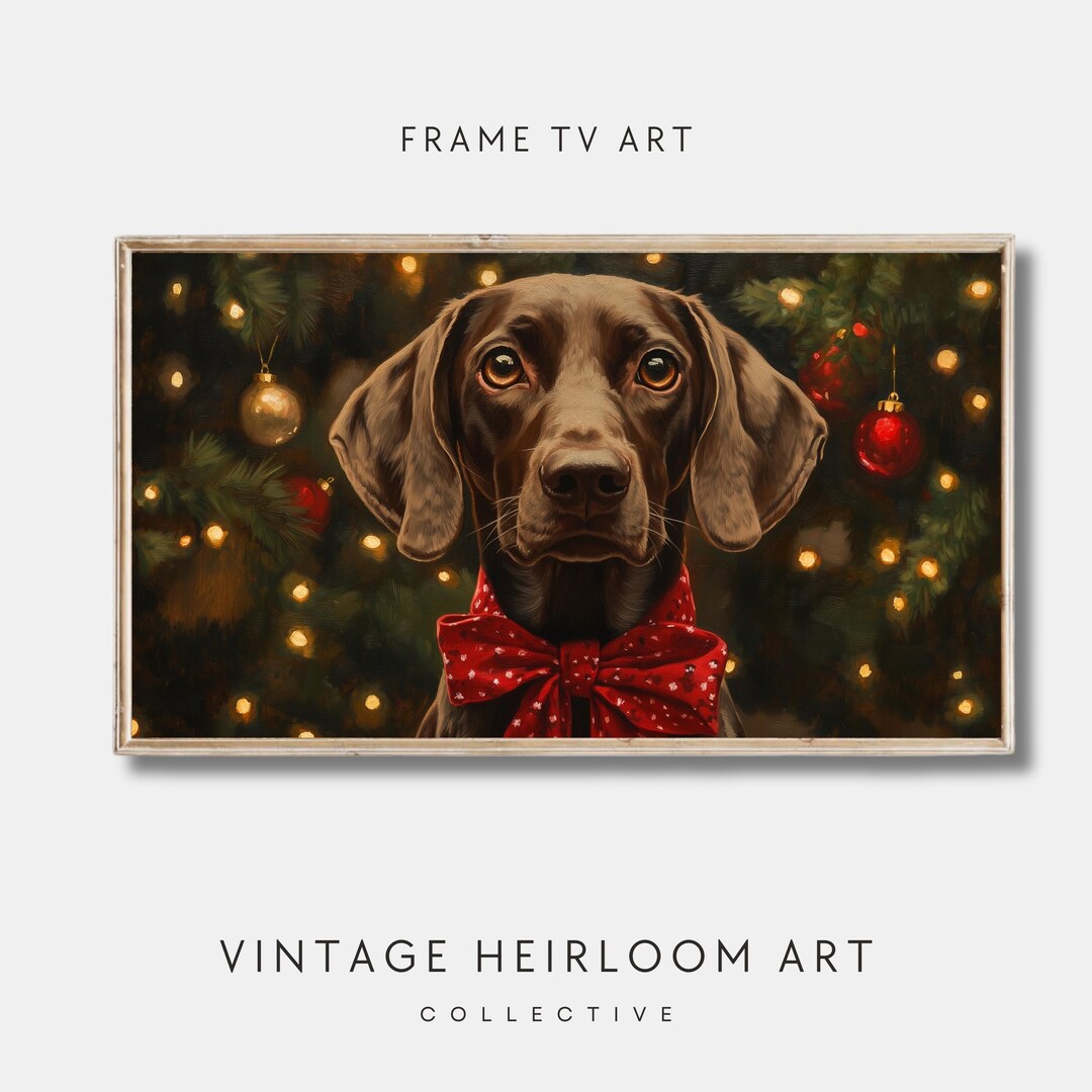 German Shorthaired Pointer Frame Tv Art Christmas Tv Art Christmas ...