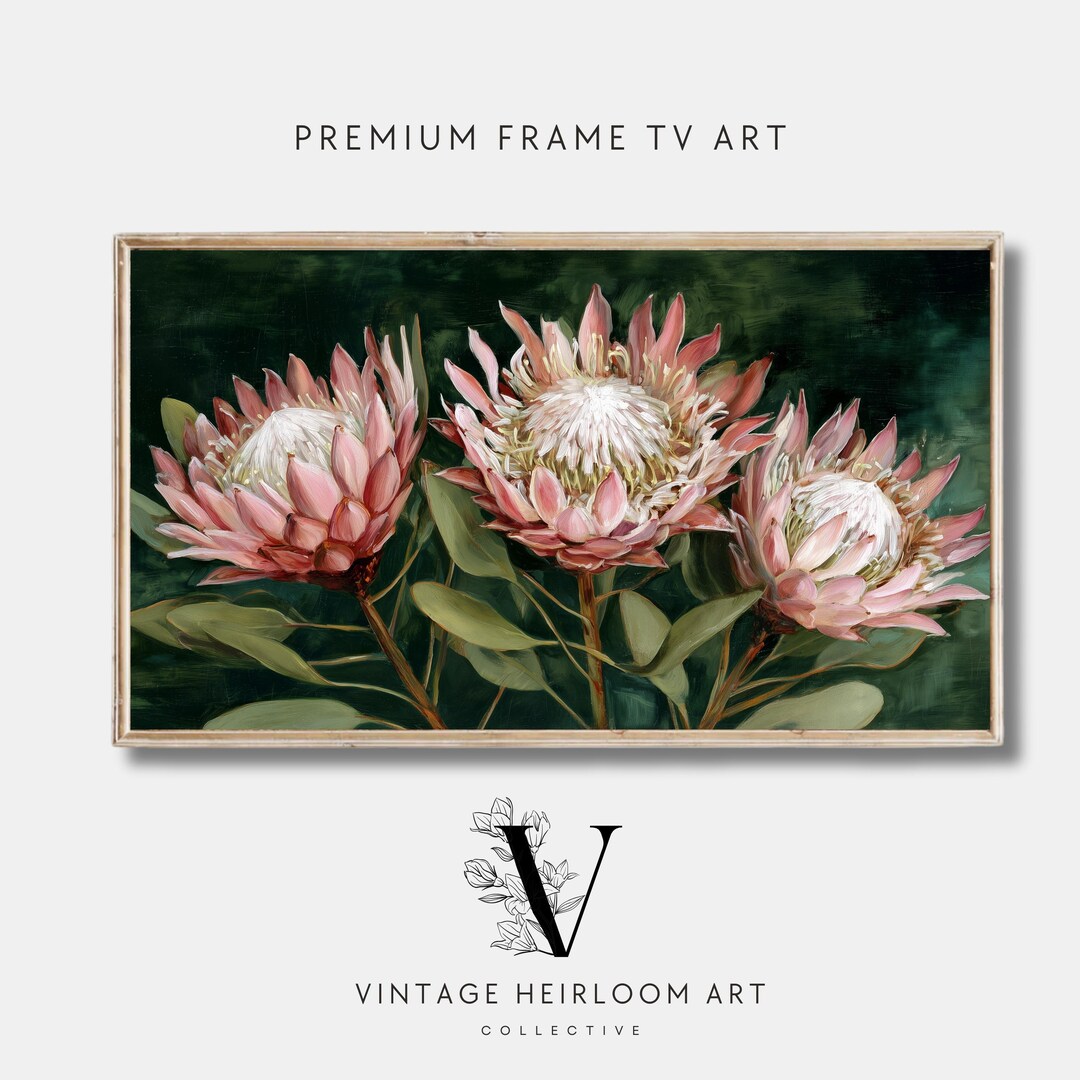Protea Frame TV Art, Pink Protea Flower Painting, Samsung Frame TV Art ...