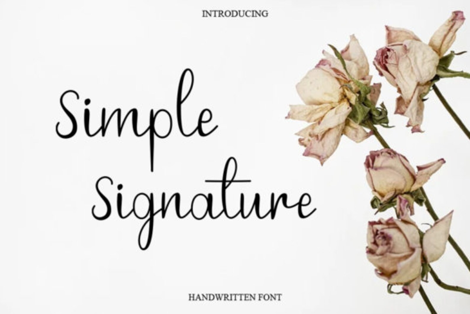Simple Signature Font, Handwritten Script Font, Personal Signature Font ...