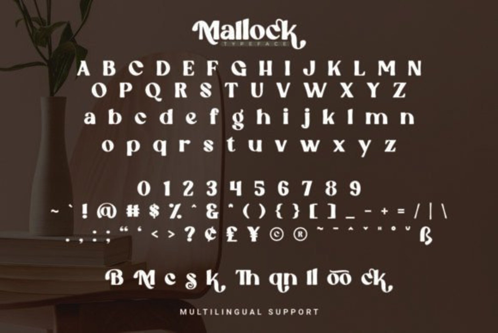 Mallock Font, Script Beautiful Font, Vintage Cheap Font, Retro ...