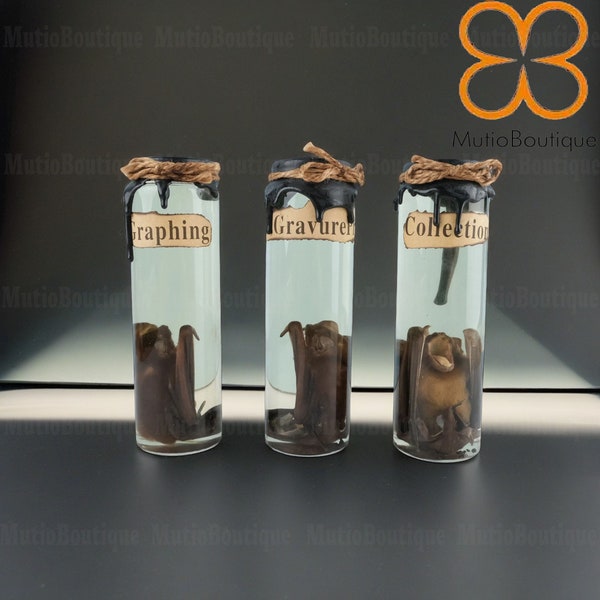 Bat Taxidermy - Etsy